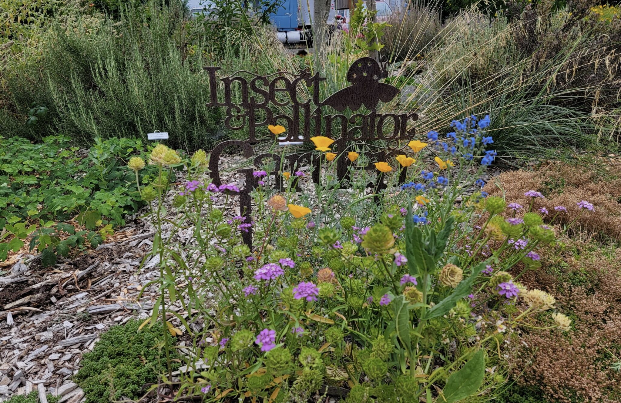 WCMGA Education Garden at Portland Community College Rock Creek ...