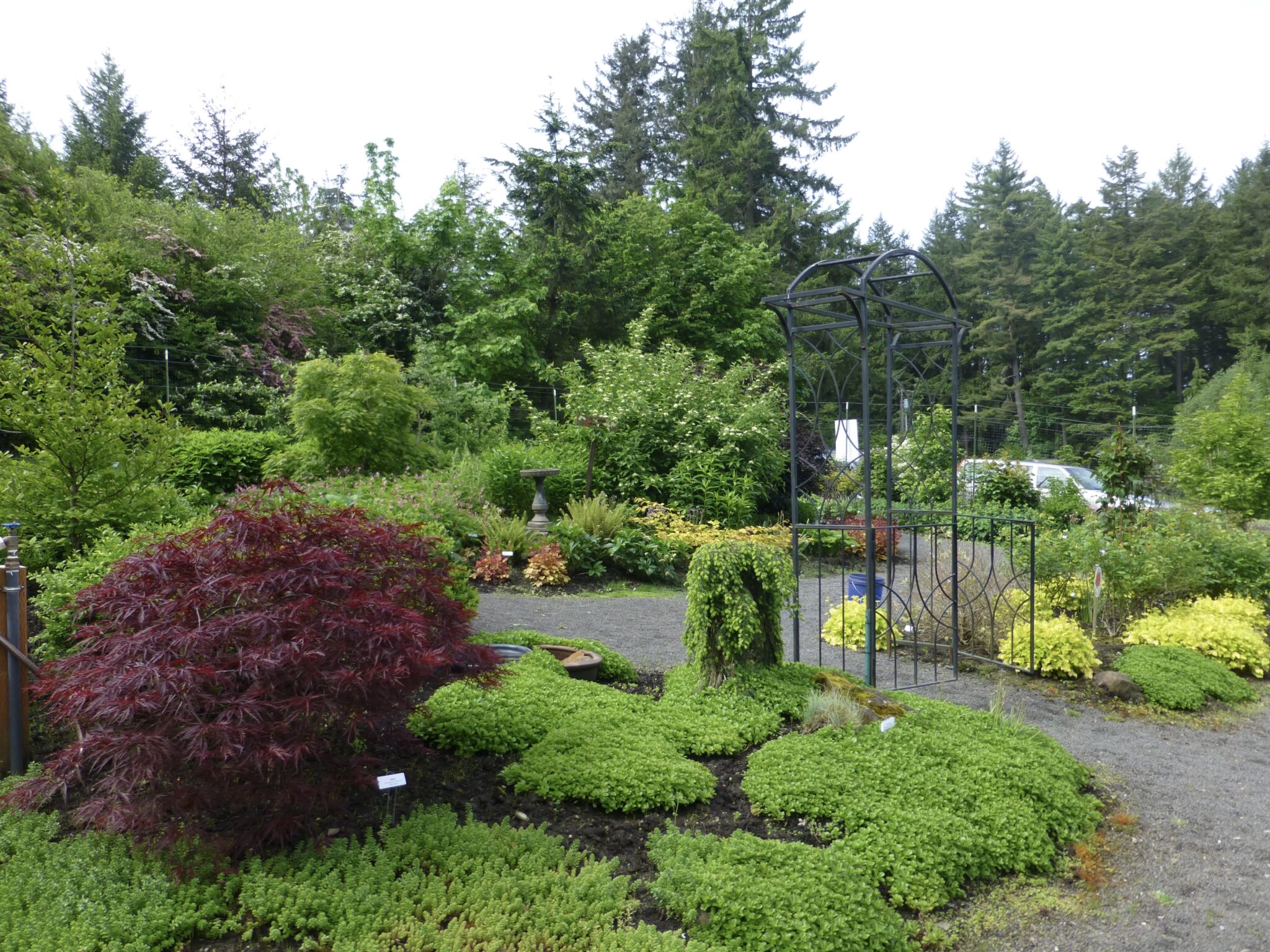 Demonstration Gardens - Washington County Master Gardener Association