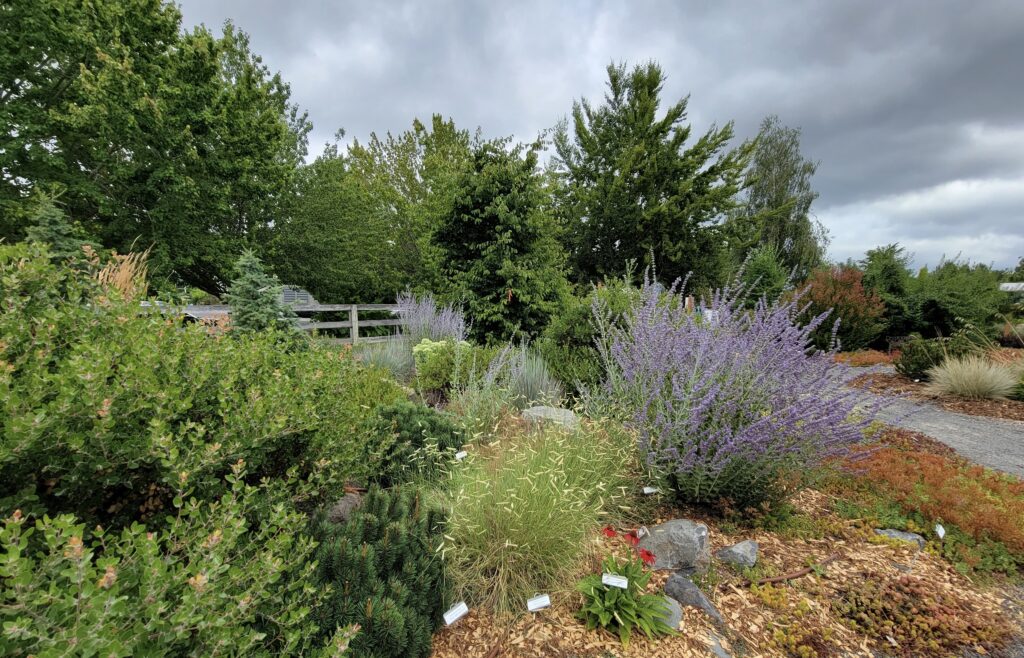 WCMGA Education Garden at Portland Community College Rock Creek ...