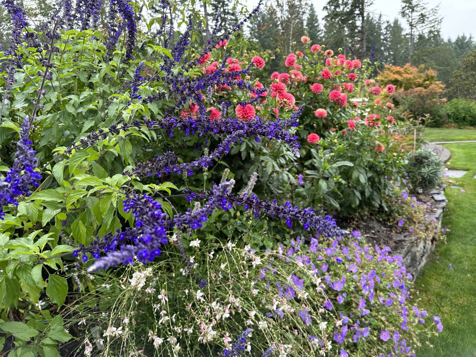 *PERENNIALS: HOW TO CHOOSE, PLANT, AND MAINTAIN FOR YEAR-ROUND FLOWERS ...