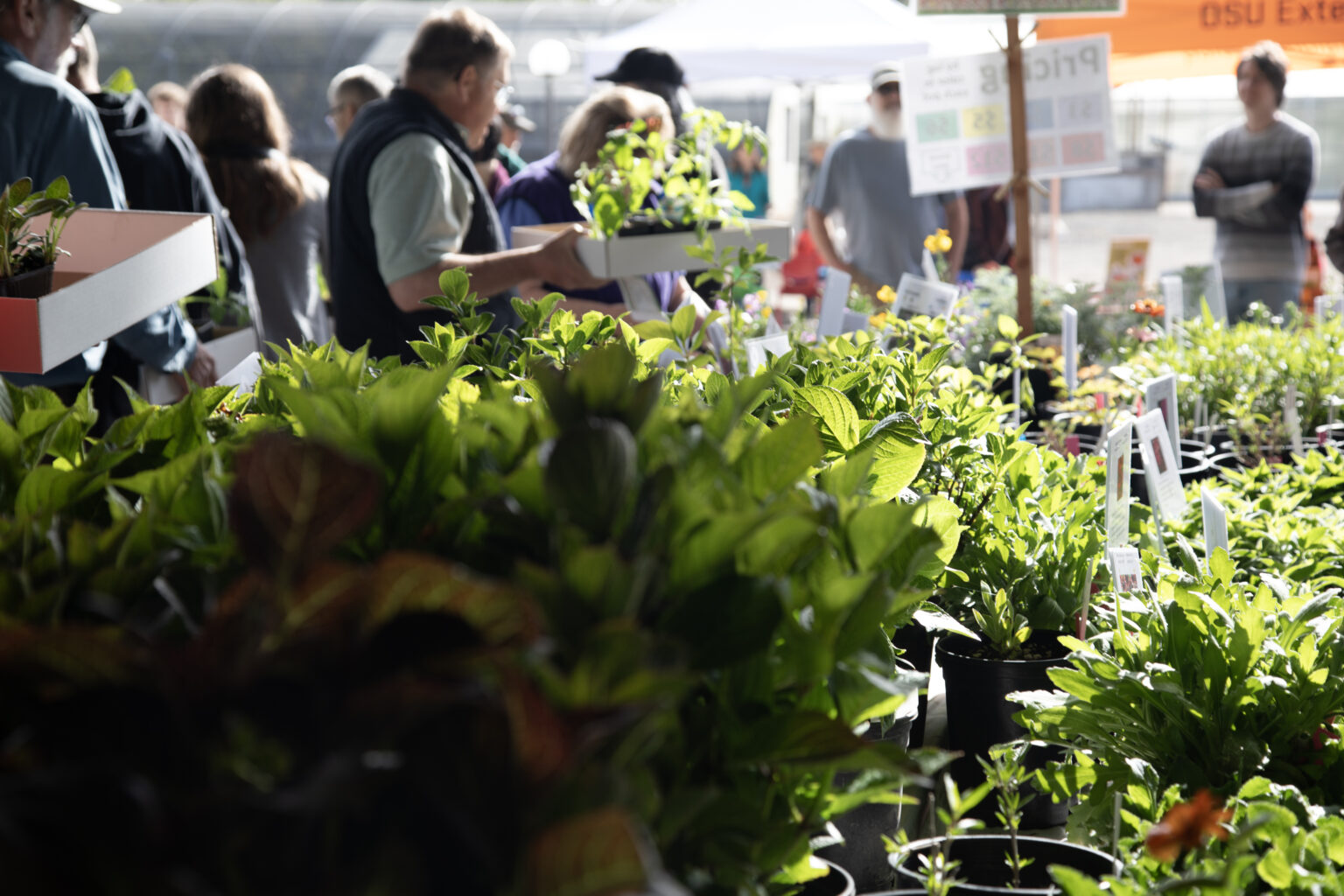 Gardenfest Plant Sale - Washington County Master Gardener Association