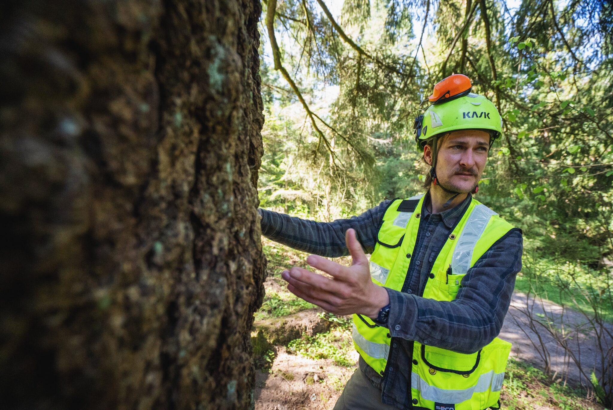 *STEPWISE JOURNEY OF TREE IDENTIFICATION - Washington County Master ...